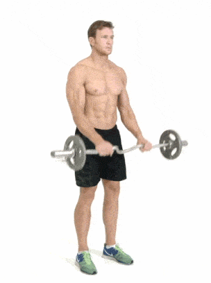 The Best Exercises for Massive and Powerful Forearms • Bodybuilding Wizard