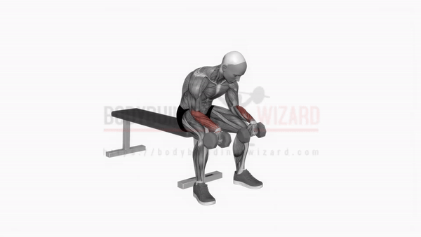 The Best Exercises for Massive and Powerful Forearms • Bodybuilding Wizard