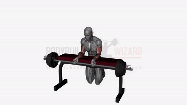 The Best Exercises for Massive and Powerful Forearms • Bodybuilding Wizard