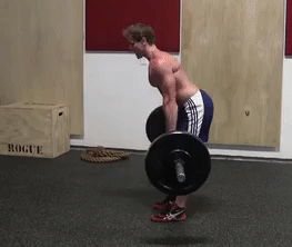 Top Erector Spinae (Lower Back) Strengthening Exercises • Bodybuilding ...