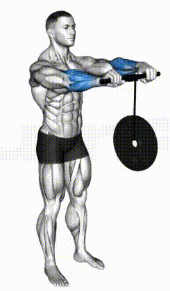 The Best Exercises for Massive and Powerful Forearms • Bodybuilding Wizard