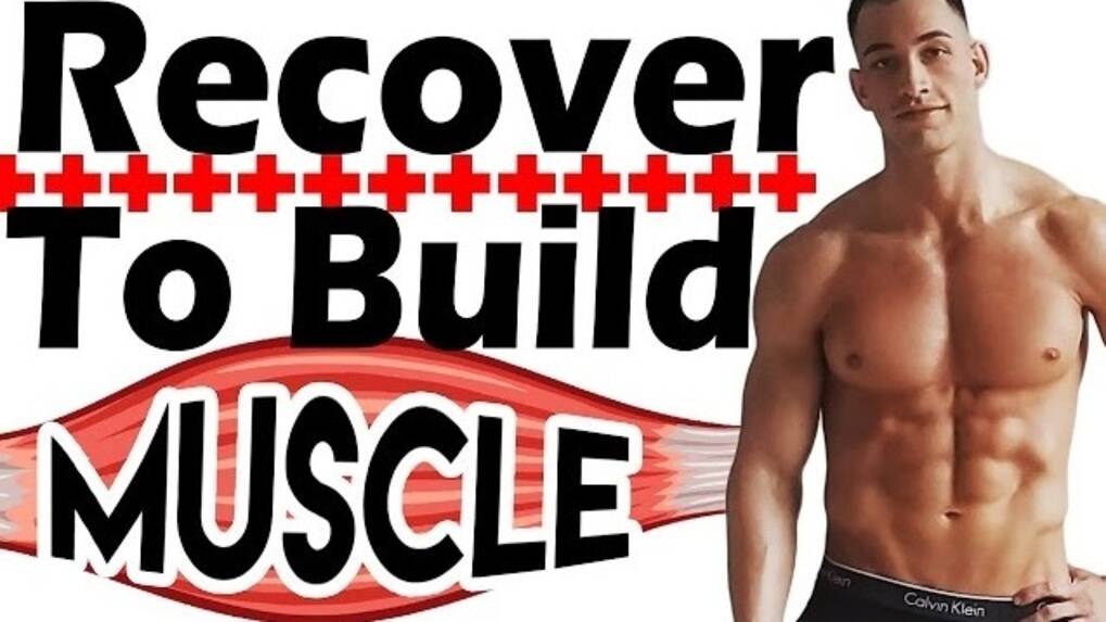 The Ultimate Guide to Rest and Muscle Recovery in Weight Training ...