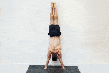 The Handstand Push-Up: A Complete Guide for Building Strong Deltoids with Bodyweight Training ...