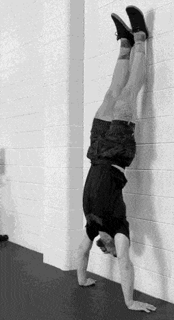 The Handstand Push-Up: A Complete Guide for Building Strong Deltoids ...