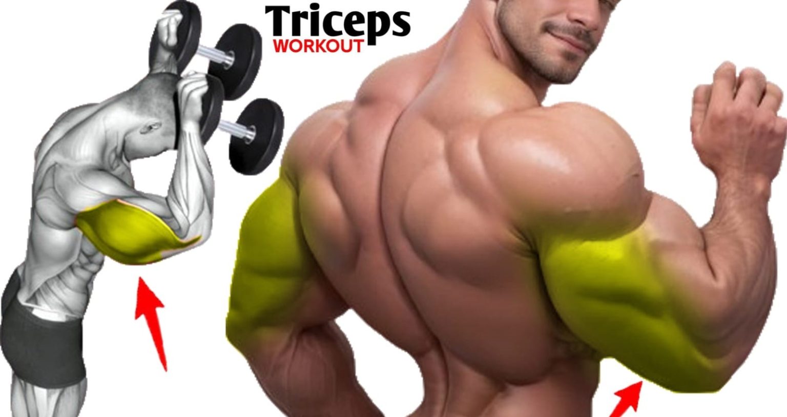 The 7 Best Exercises To Build Monster Triceps: Chosen by Experts ...