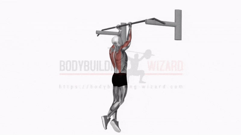 Best Exercises for Monster Biceps: Expert-Approved Routines and Ratings ...