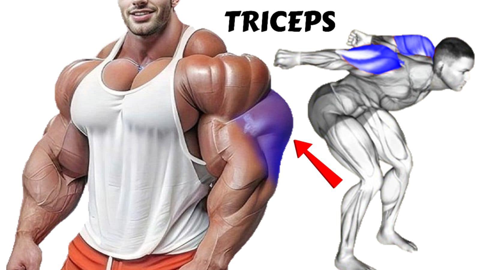The 7 Best Exercises To Build Monster Triceps: Chosen by Experts ...