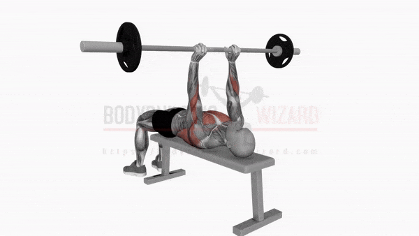 The 7 Best Exercises To Build Monster Triceps: Chosen by Experts ...