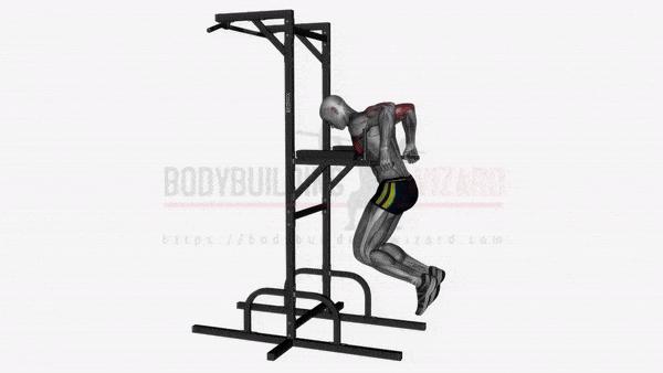 The 7 Best Exercises To Build Monster Triceps: Chosen by Experts ...