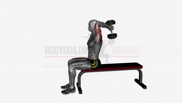 The 7 Best Exercises To Build Monster Triceps: Chosen by Experts ...