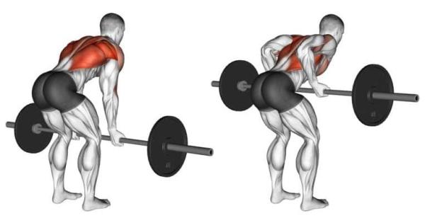 Yates Row Essentials: Complete Guide to Technique, Variations, and ...