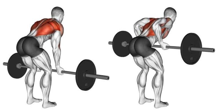 Yates Row Essentials: Complete Guide to Technique, Variations, and ...