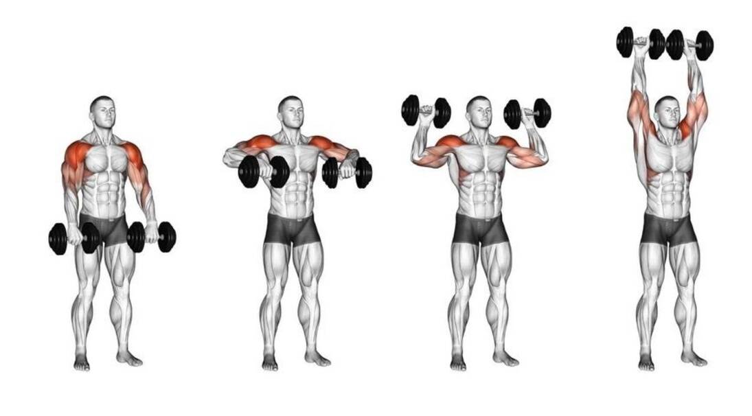 The Dumbbell Cuban Press Exercise for Front Deltoids • Bodybuilding Wizard