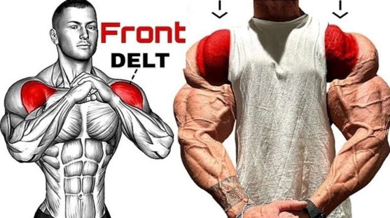 Front Deltoid Strengthening Exercises • Bodybuilding Wizard