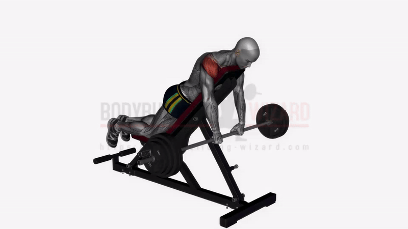 Prone Incline Barbell Front Raise Exercise Guide • Bodybuilding Wizard