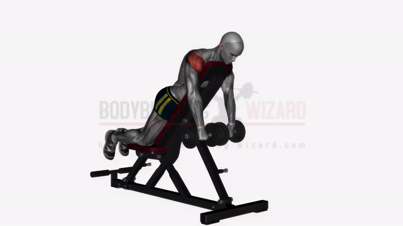 Prone Incline Dumbbell Front Raise: Benefits, Step-by-Step Guide, and ...