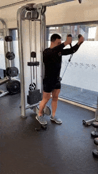 Front Deltoid Strengthening Exercises • Bodybuilding Wizard