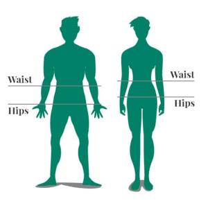 Waist-to-Hip Ratio Calculator (WHR) • Bodybuilding Wizard