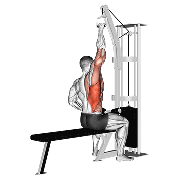 Single-Arm Lat Pulldown Exercise Tutorial • Bodybuilding Wizard