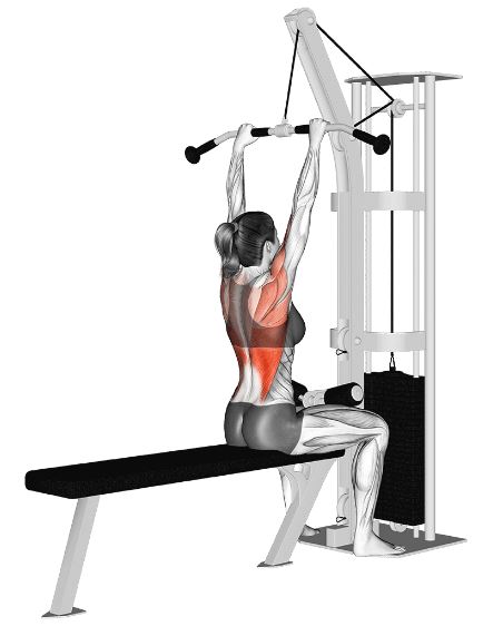 Lean & Strong: A Female-Friendly Upper-Body Workout Guide • Bodybuilding Wizard