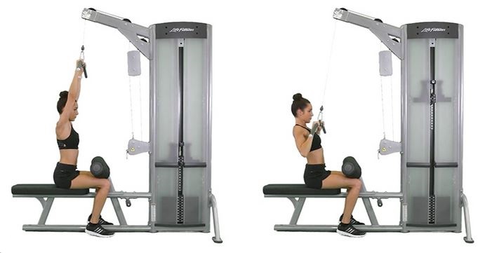 Strength Training During Follicular Phase: Exercises & Workout Plans ...