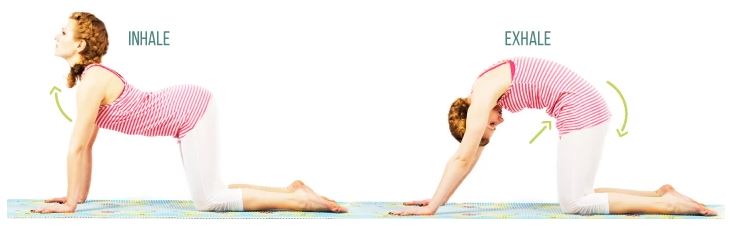 Your Postpartum Strength Training Plan: Hormonal Reset and Core ...