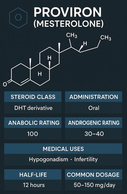 Proviron (Mesterolone) – DHT Effects, Libido, Myths • Bodybuilding Wizard