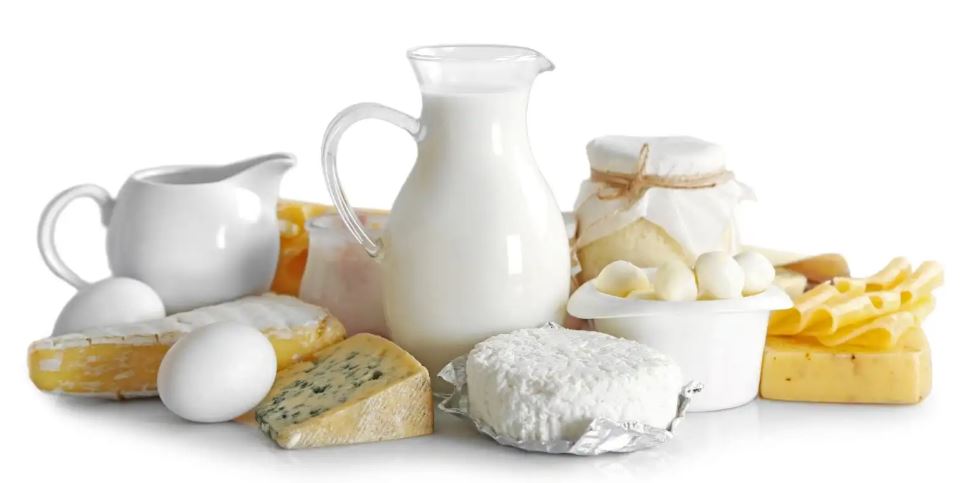 Casein Protein Powder – Benefits, Uses, Dosage & Best Time to Take ...