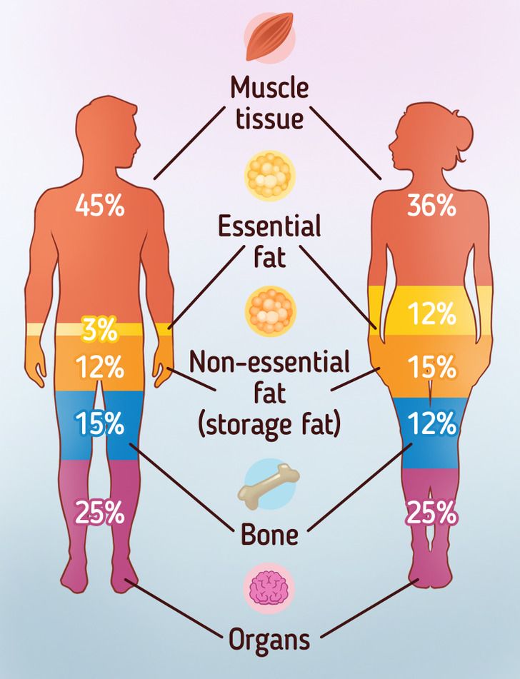 Essential Fat vs Storage Fat: What Every Bodybuilder Should Know ...