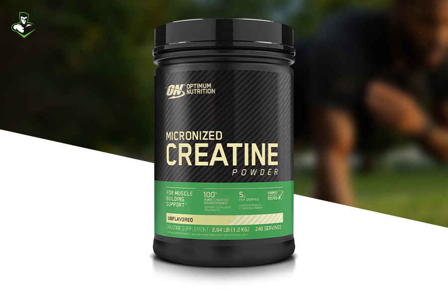 10 Best Creatine Supplements for Women of 2025 (Lab-Tested & Coach ...