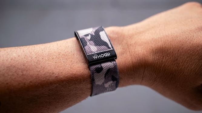 Popular Fitness Trackers This Season: Smartwatches, Bands & Rings Compared