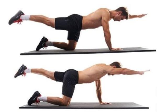 Bird Dog Exercise Guide: Core Stability, Anti-Rotation Strength ...