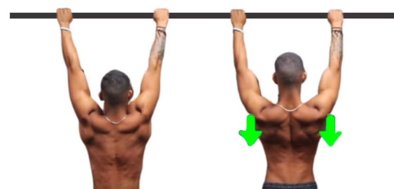 Scapular Pull-Ups Exercise Guide: Build Shoulder Stability & Scapular ...