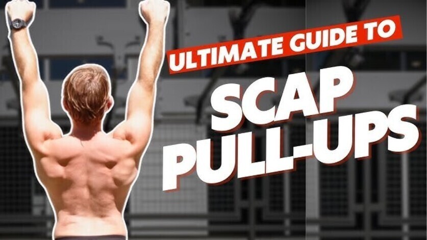 Scapular Pull-Ups Exercise Guide: Build Shoulder Stability & Scapular ...