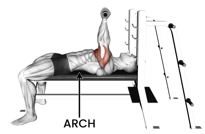Flat Barbell Bench Press: Proper Technique, Muscles Worked, Benefits ...