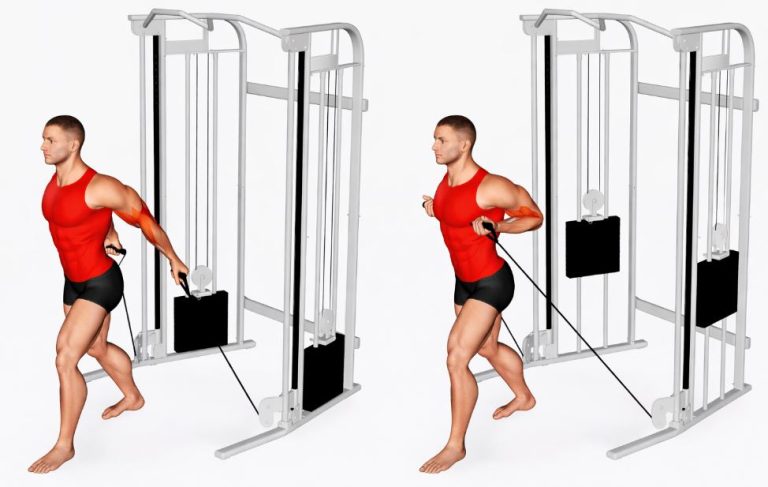Bayesian Cable Curl – Complete Guide to Technique, Benefits & Peak ...