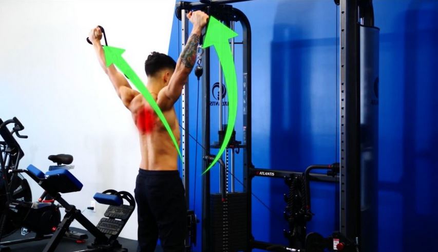 Cable Y-Raise Exercise Guide: Shoulder Stability, Scapular Control ...