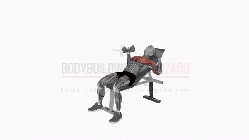 Incline Dumbbell Bench Press for Upper Chest Growth: Step-by-Step ...