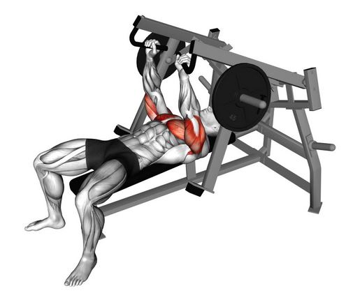 Machine Chest Press: Proper Technique, Muscles Worked, Benefits ...