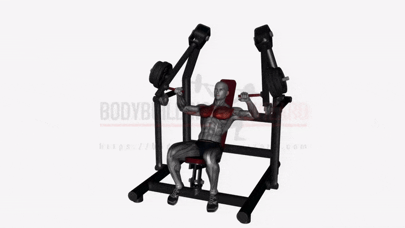 Machine Incline Chest Press Guide: Technique, Benefits, Variations