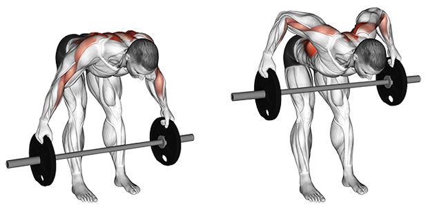 Bent-Over Barbell Row: Proper Form, Benefits, Muscles Worked & Variations