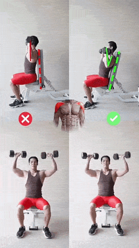 Dumbbell Shoulder Press (Seated): Proper Form, Muscles Worked & Tips