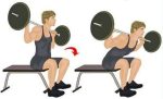 Barbell Good Morning Exercise: Proper Form, Muscles Worked & Safety Tips