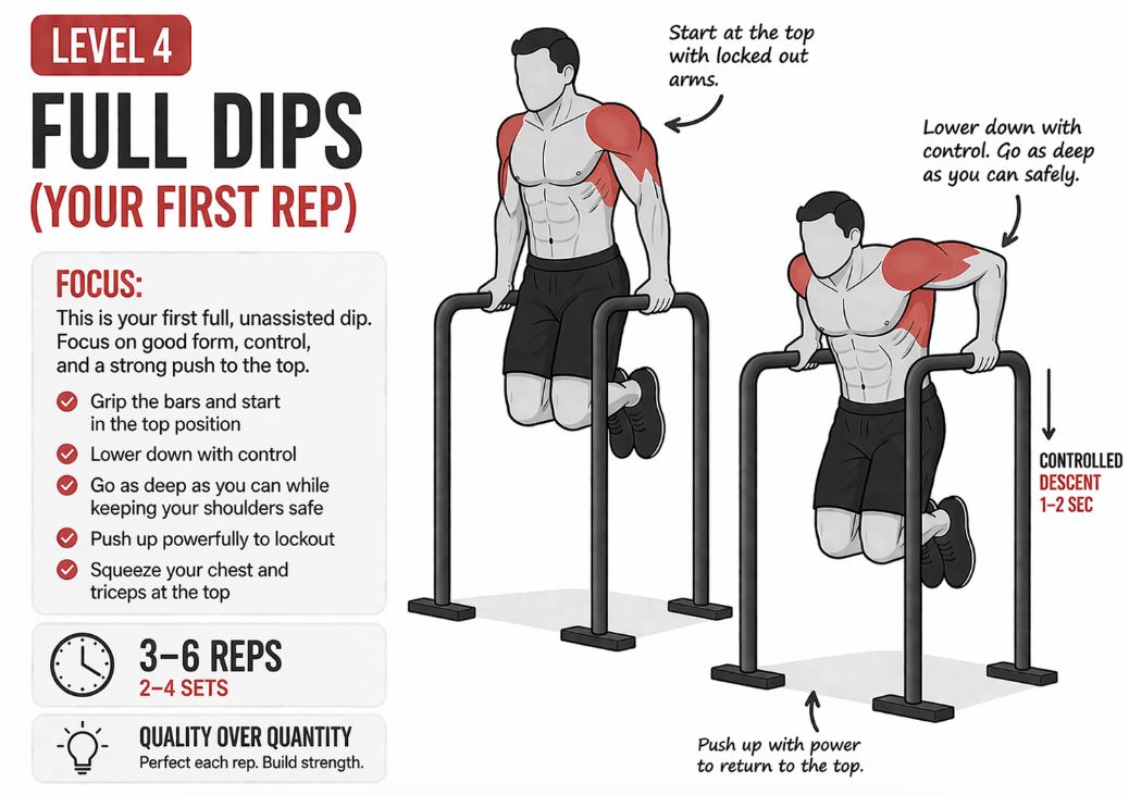 Can’t Do Dips Yet? 🔥 Step-by-Step Beginner Guide to Your First Dip
