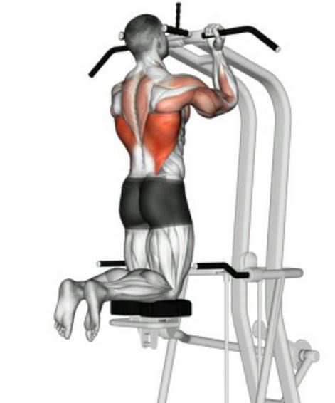 How to Do Your First Chin-Up: Complete Beginner Guide (Step-by-Step ...